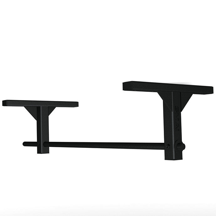Ceiling Mount / Wall Mount Chin Up Bar – SMAI