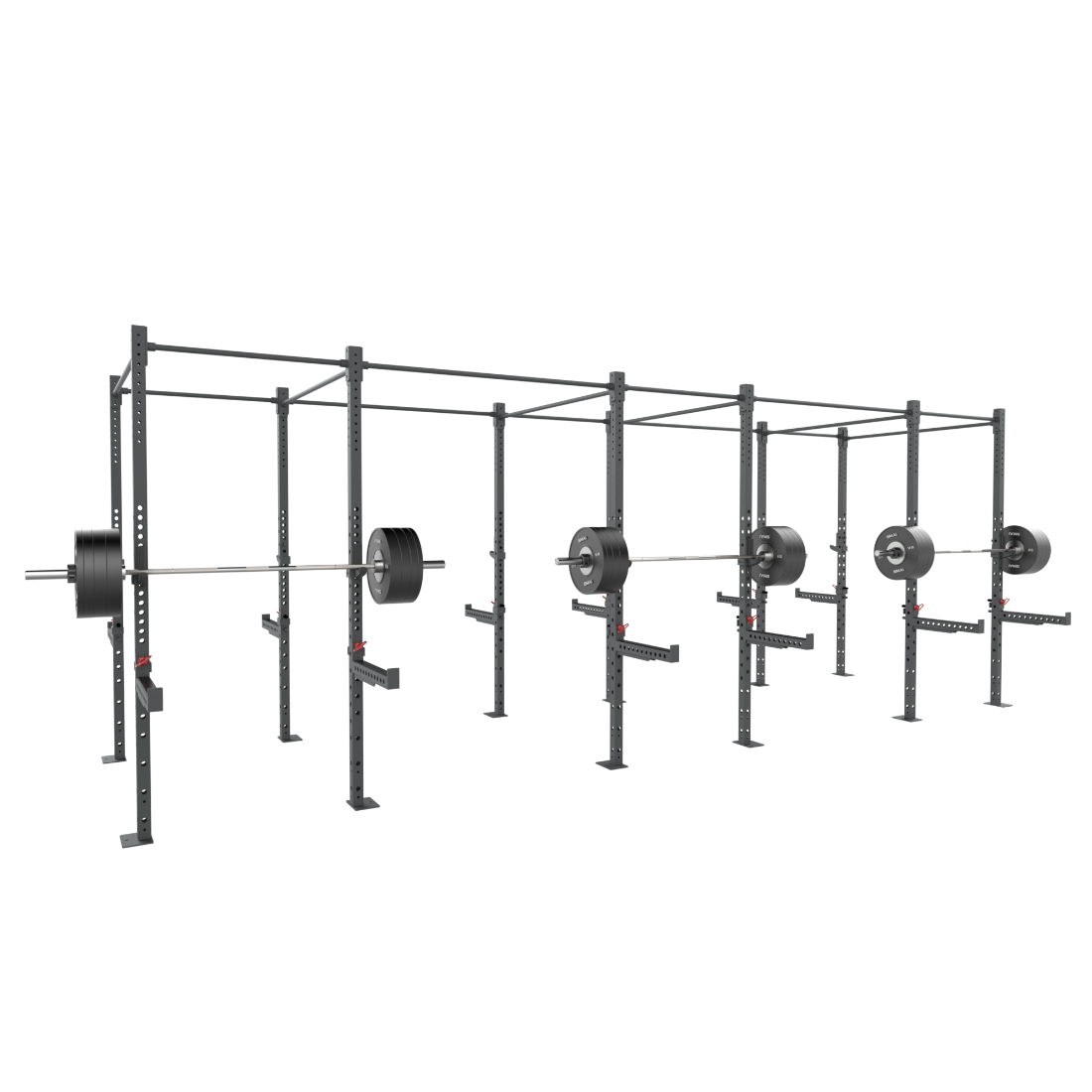 Six Squat Full Cell | Racks & Rigs | SMAI